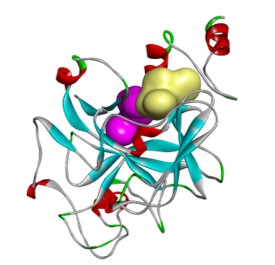 Lysine Methyltransferase KMT G9a | Drug Discovery | Domainex